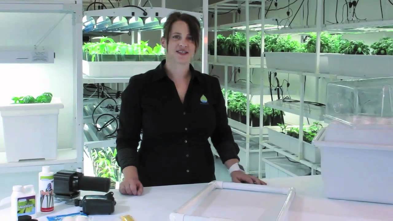 Cloner 45 System Setup – Botanicare