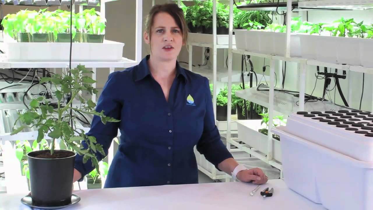 How To Clone With Power Cloner 45 – Botanicare