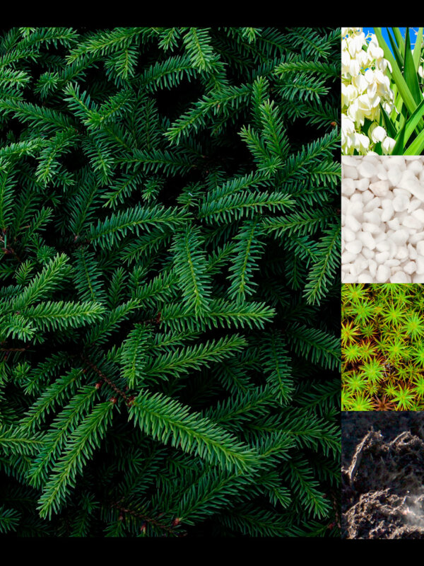 Organics – Botanicare