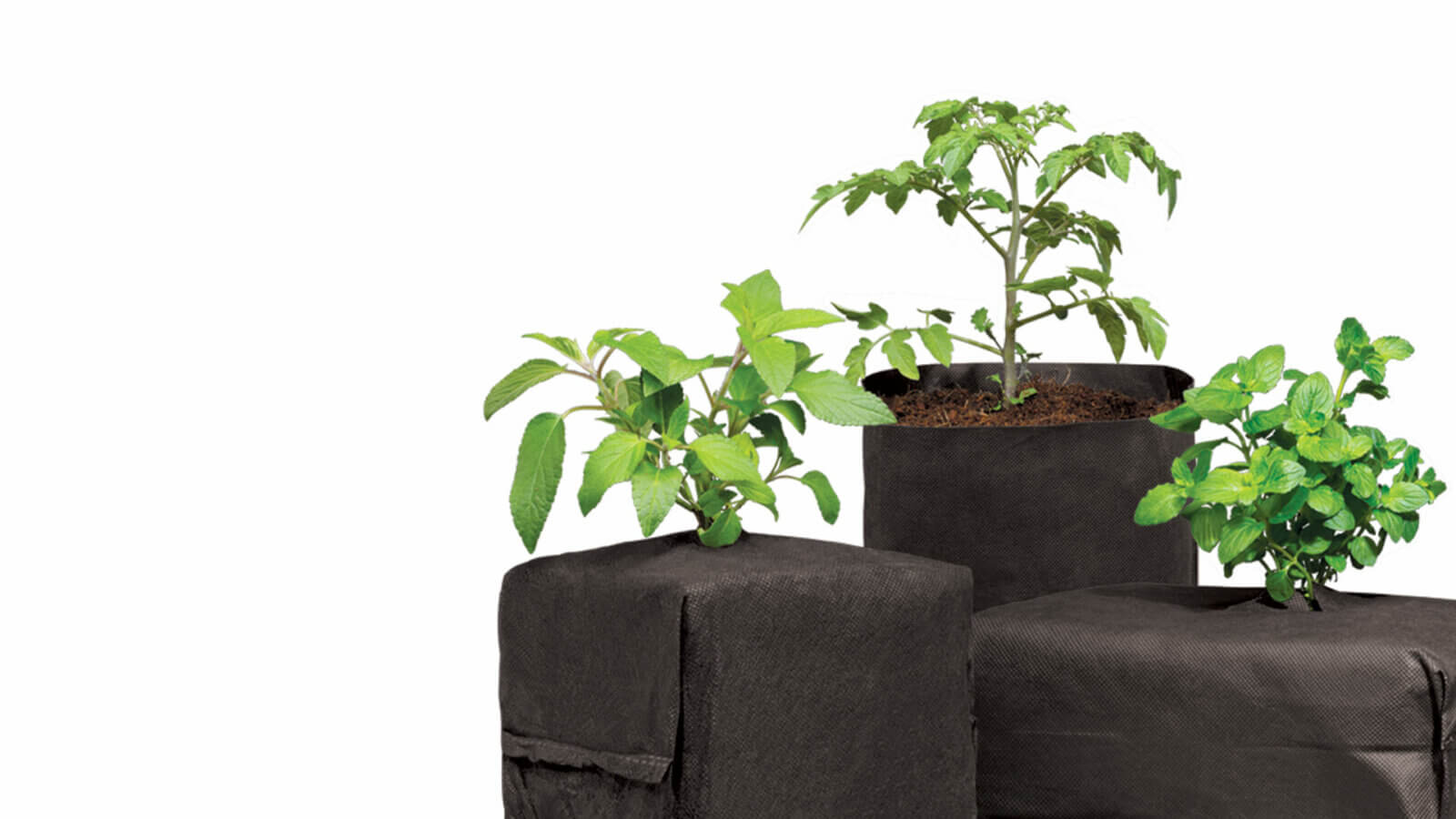 Grow Media Botanicare