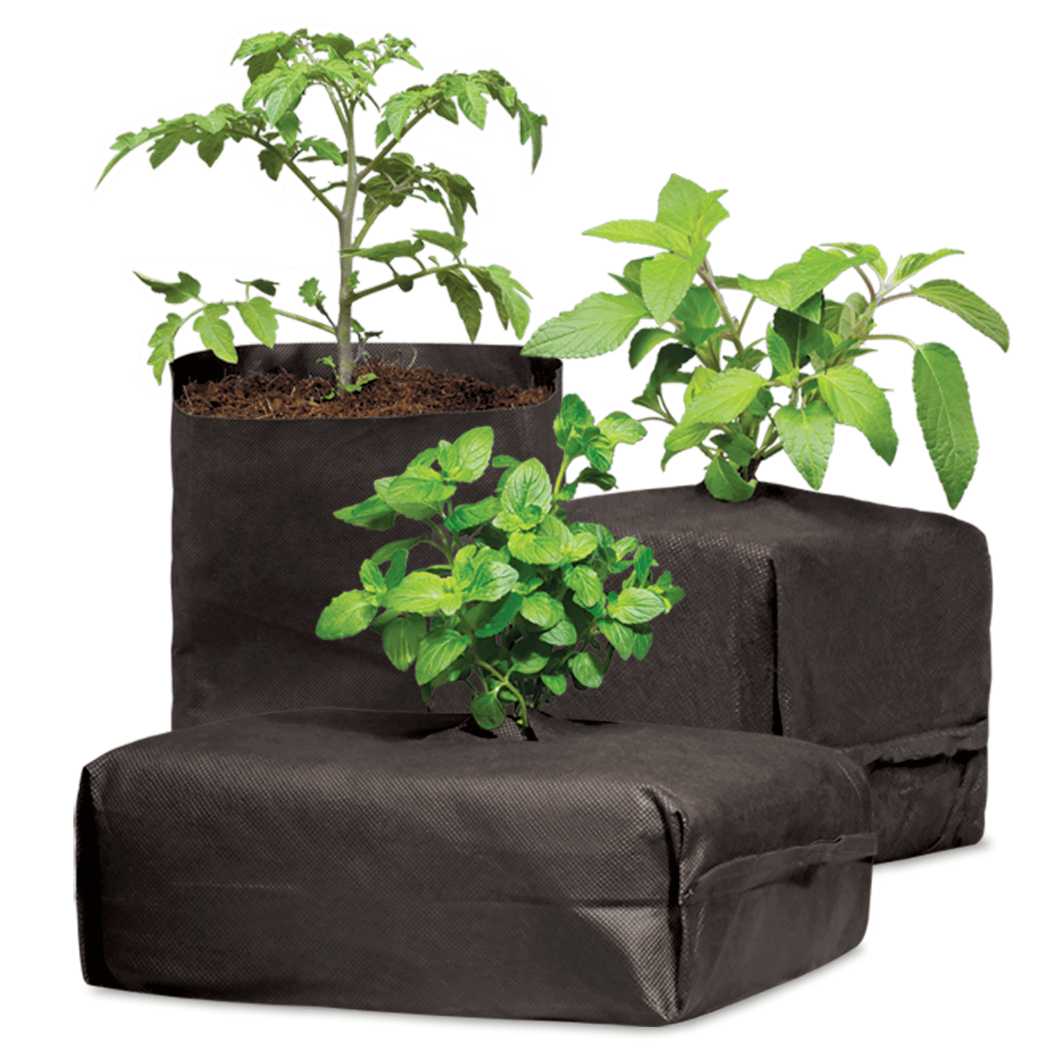 Botanicare - Products, advice and support to produce better crops