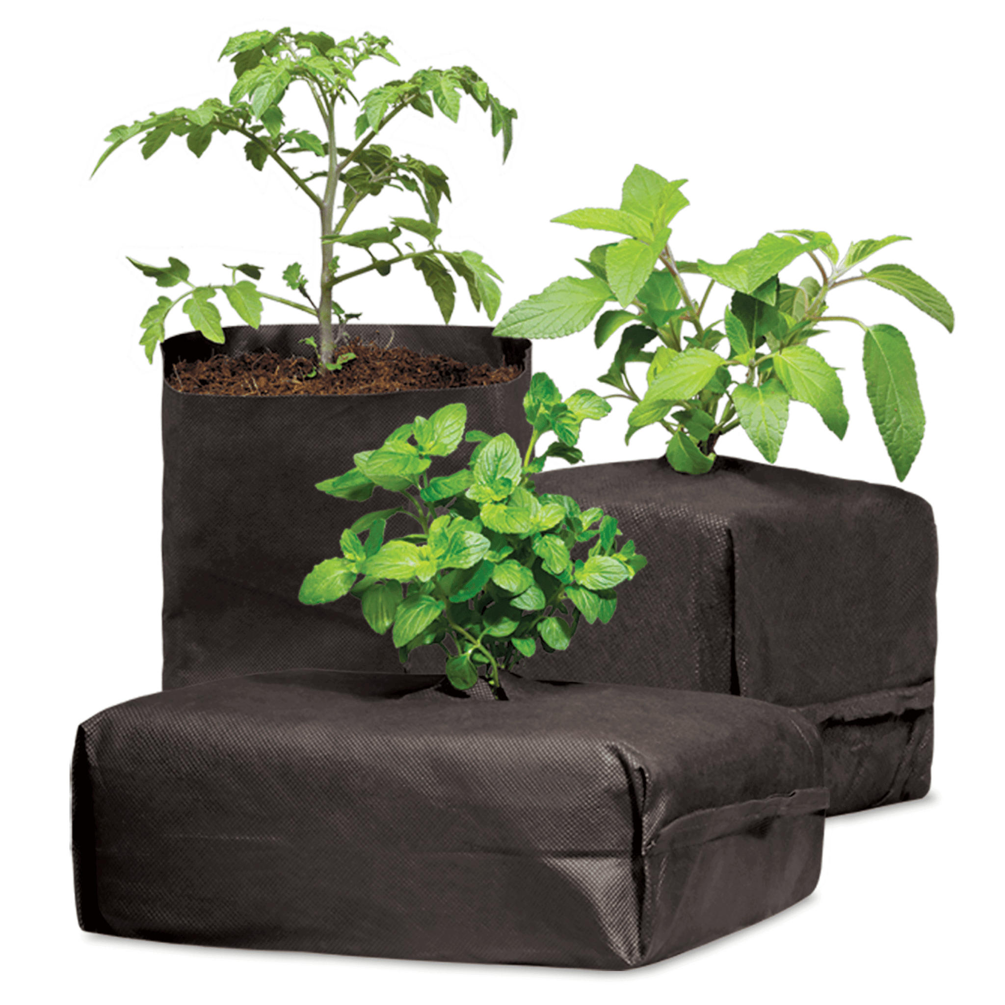 Botanicare - Products, advice and support to produce better crops