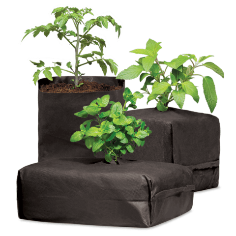 Botanicare - Products, advice and support to produce better crops