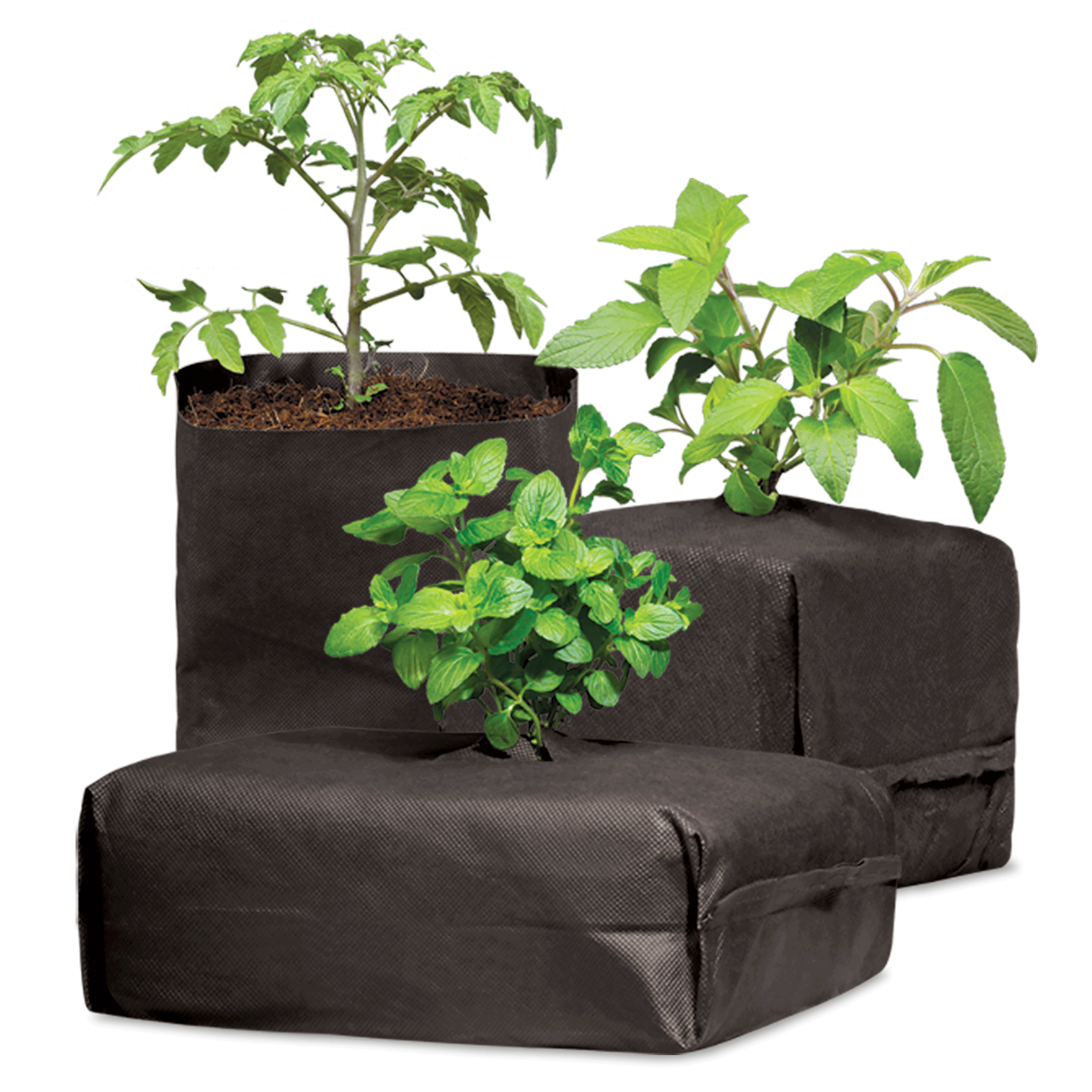 CocoPro™ – Botanicare